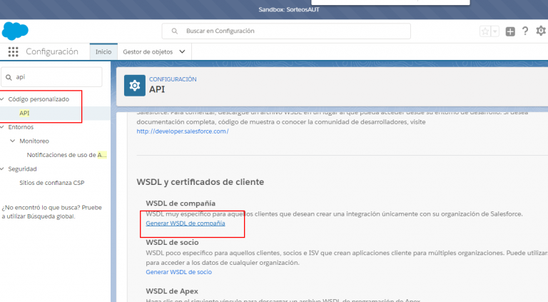 Cómo consumir WSDL de servicios web personalizados de salesforce - Jorge Arrambide